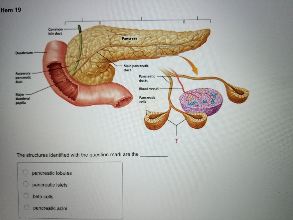 Biology Archive | July 06, 2018 | Chegg.com
