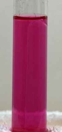 Solved The results of a sucrose fermentation test are shown | Chegg.com