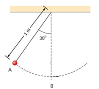 Solved Albert has set up a simple pendulum experiment in a | Chegg.com