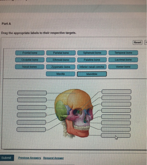 Solved Part A Drag the appropriate labels to their | Chegg.com