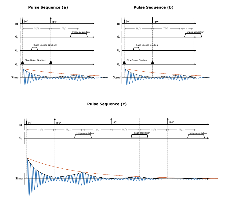 What type of pulse sequence is shown in pulse | Chegg.com