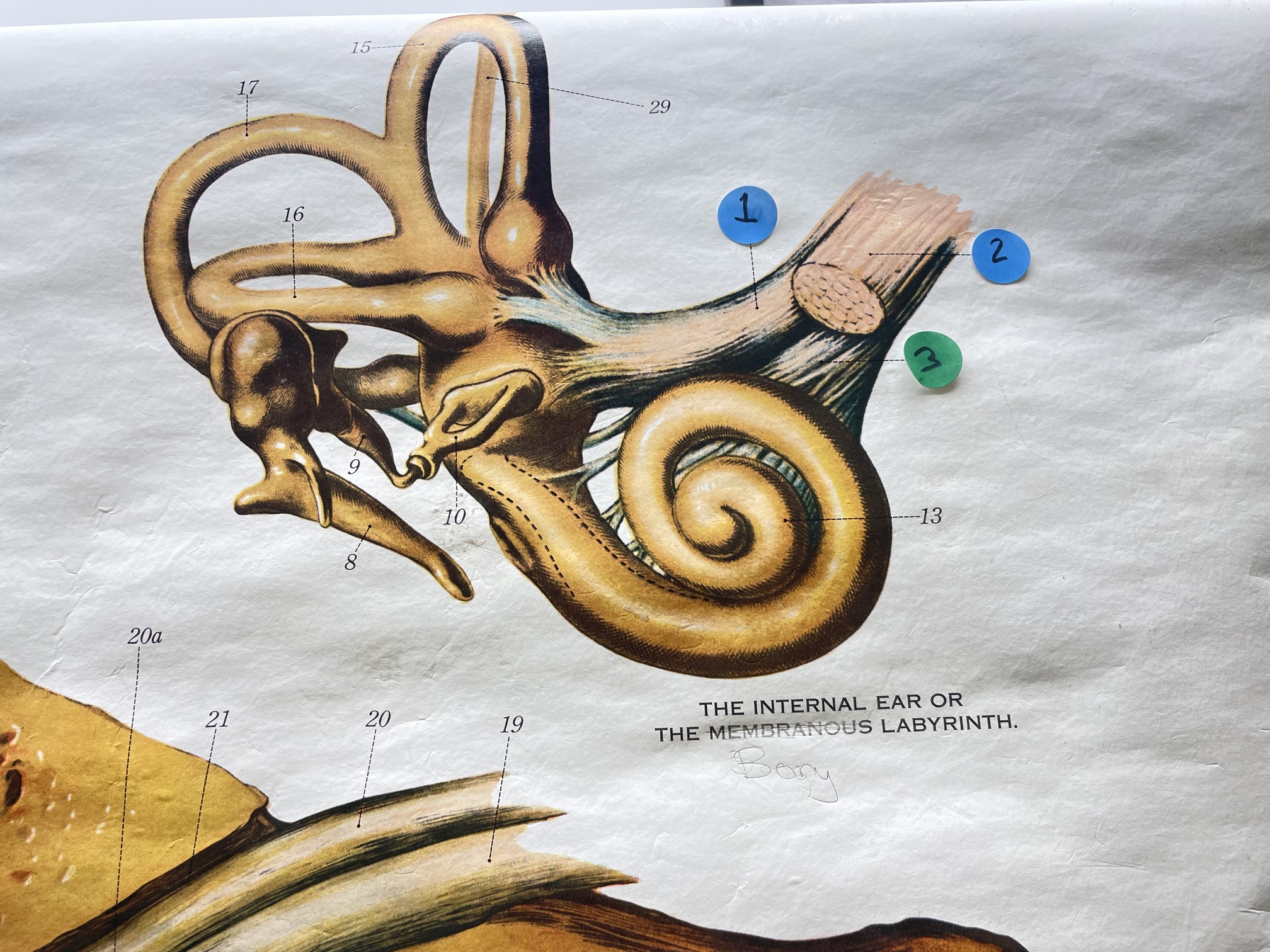 name 1,2,3? | Chegg.com