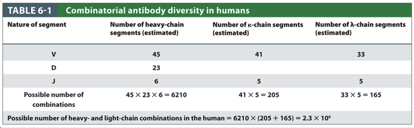 Solved 1. Looking at Table 6-1: Understand the algebra | Chegg.com