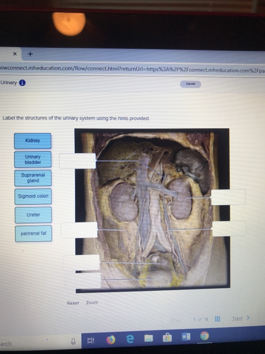Solved connect mh education.com/flow connect.html?returnUrl: | Chegg.com