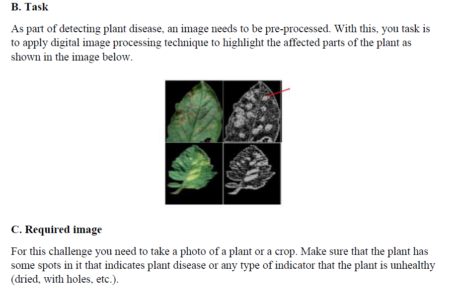 Solved B. Task As part of detecting plant disease, an image | Chegg.com
