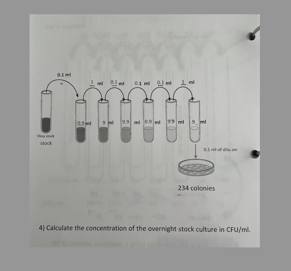 Solved bansaio 0.1 ml ml 1 ml 0.1 ml 0.1 ml 0.1 ml 1 ml 0.9 | Chegg.com