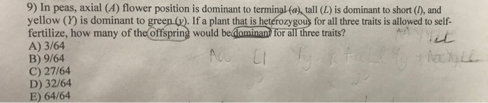Solved 9) In peas, axial (A) flower position is dominant to | Chegg.com