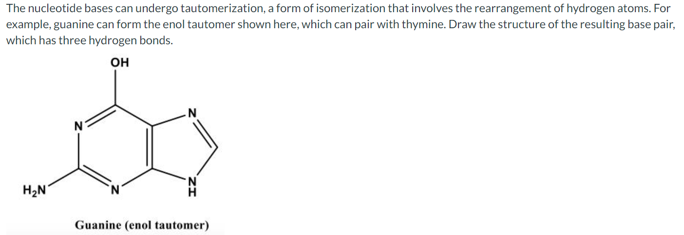 Solved The nucleotide bases can undergo tautomerization, a | Chegg.com