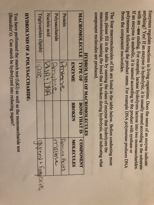 Solved Enzymes regulate reactions in living organisms. Does | Chegg.com