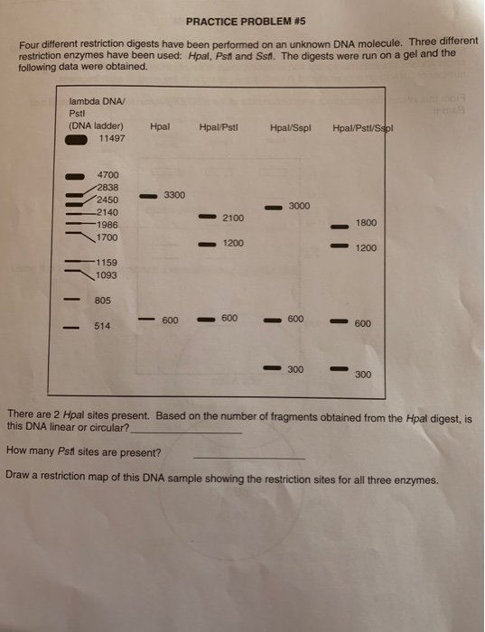 Solved PRACTICE PROBLEM #5 Four different restriction | Chegg.com