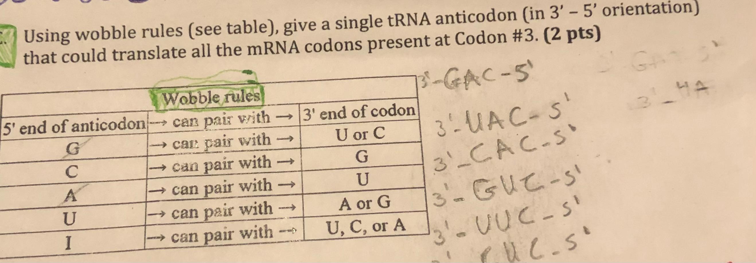 Solved A Using Wobble Rules See Table Give A Single Trna