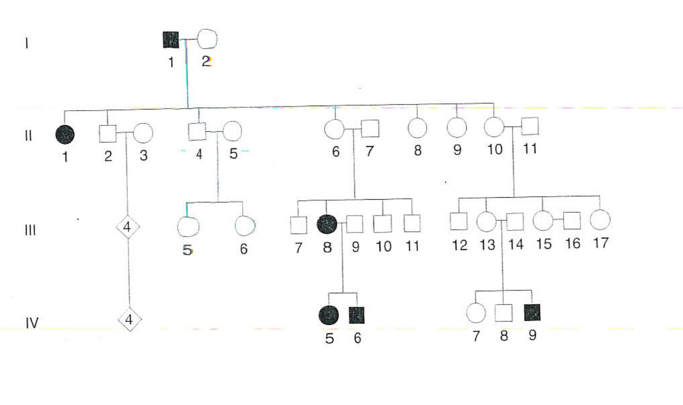 Solved 3. Most pedigrees show polydactyly inherited as a | Chegg.com
