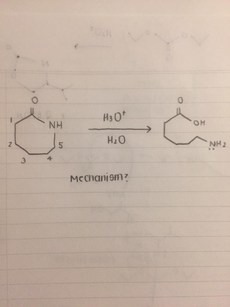 Solved H ₃ O + NH C OM H2O 2 NH2 3 Mechanism? | Chegg.com