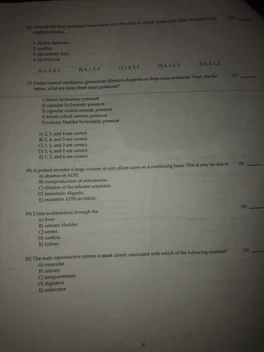 Solved is) Arrange the four structures listed below into the | Chegg.com