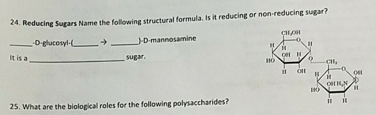 Solved 24. Reducing Sugars Name the following structural | Chegg.com