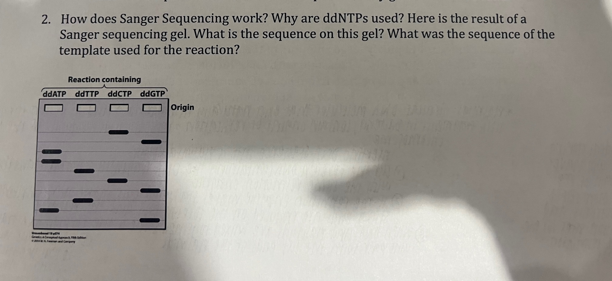 Solved 2. How does Sanger Sequencing work? Why are ddNTPs | Chegg.com