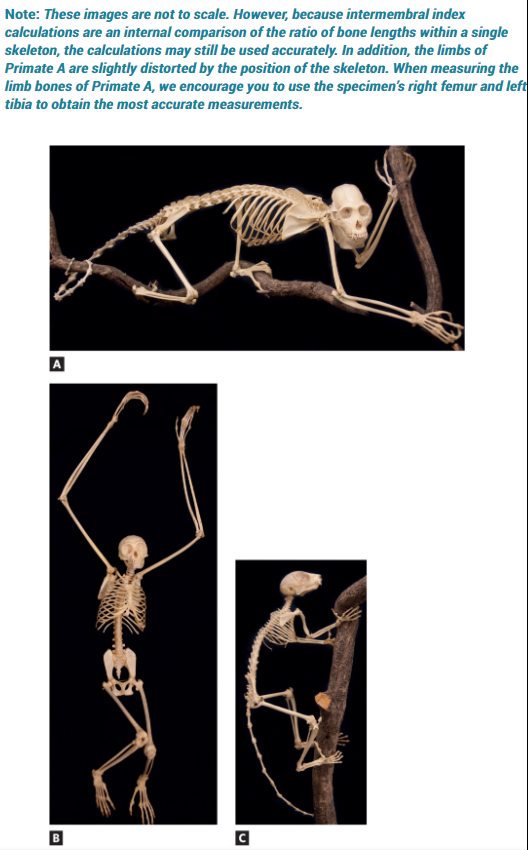Revisit page 345 in your lab manual. Memorize and/or | Chegg.com