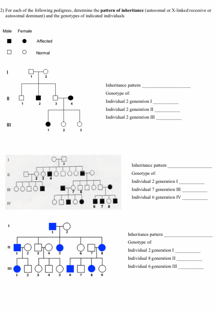 Solved 2) For each of the following pedigrees, determine the | Chegg.com