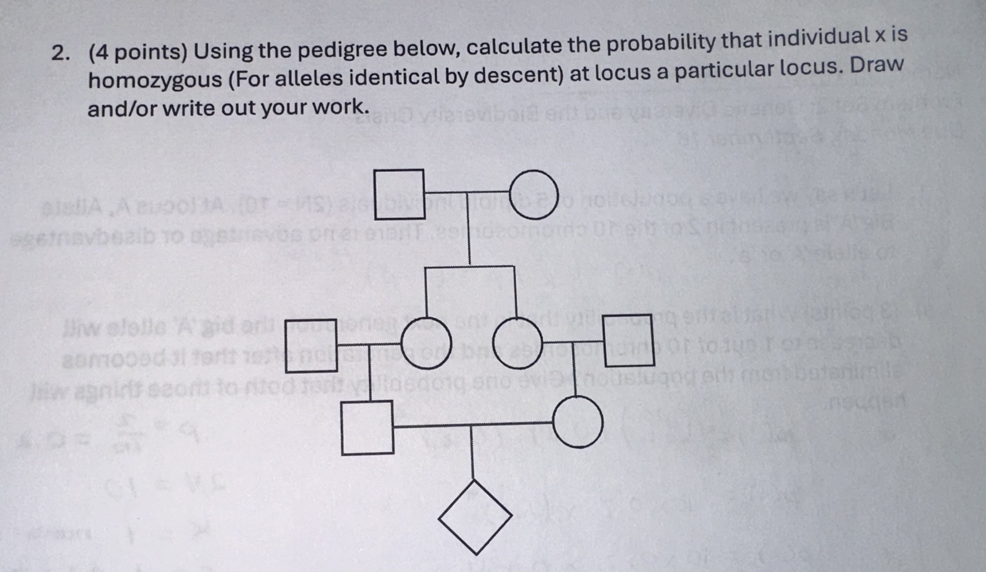 Solved (4 ﻿points) ﻿Using the pedigree below, calculate the | Chegg.com