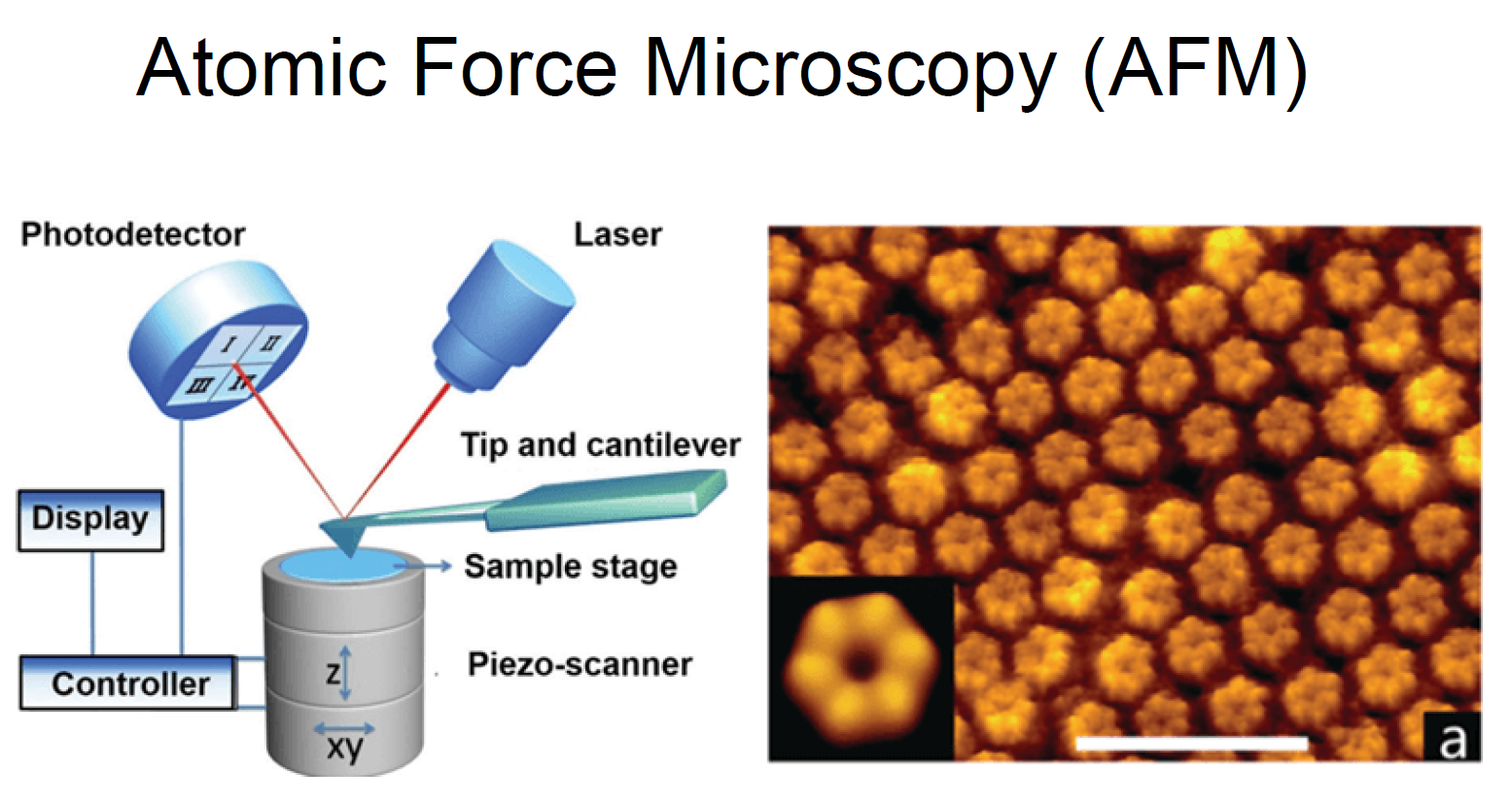 Solved I deposited a 150 ﻿nm-thick pentacene film onto the | Chegg.com