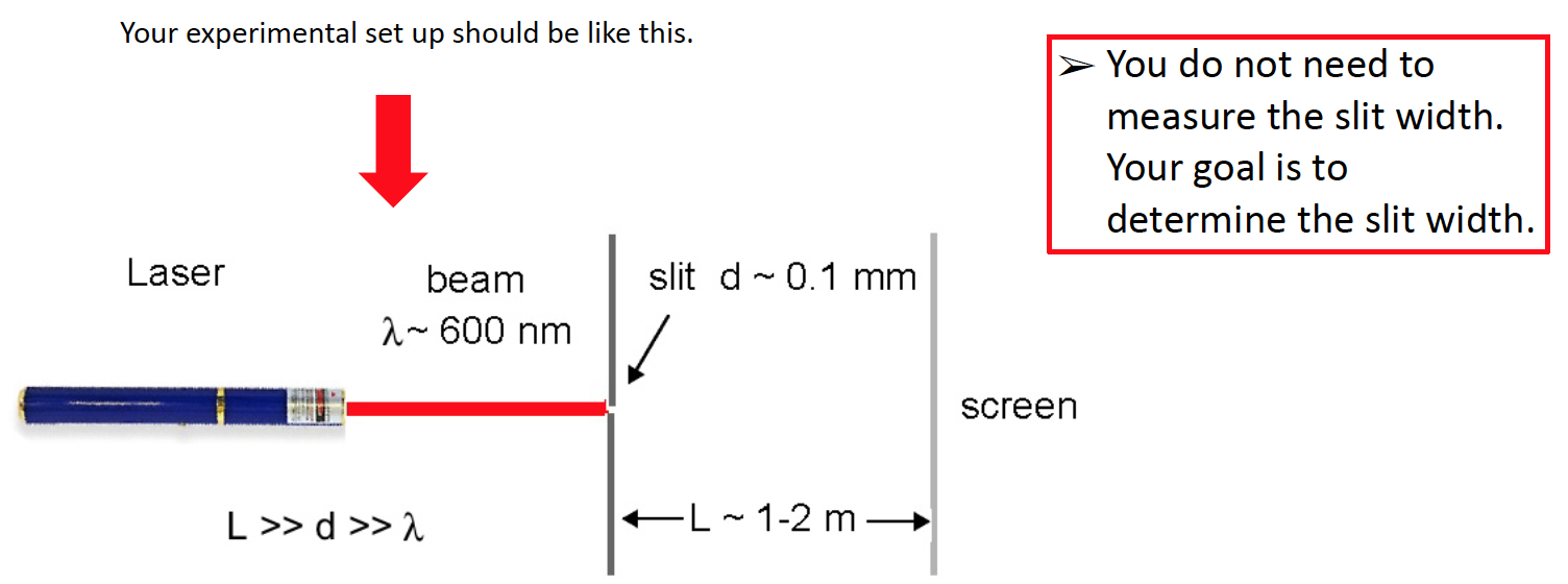 Solved Your experimental set up should be like this. You do | Chegg.com