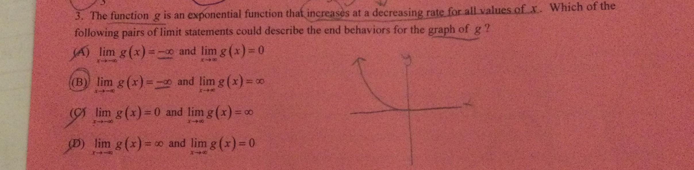 Solved The function g ﻿is an exponential function that | Chegg.com