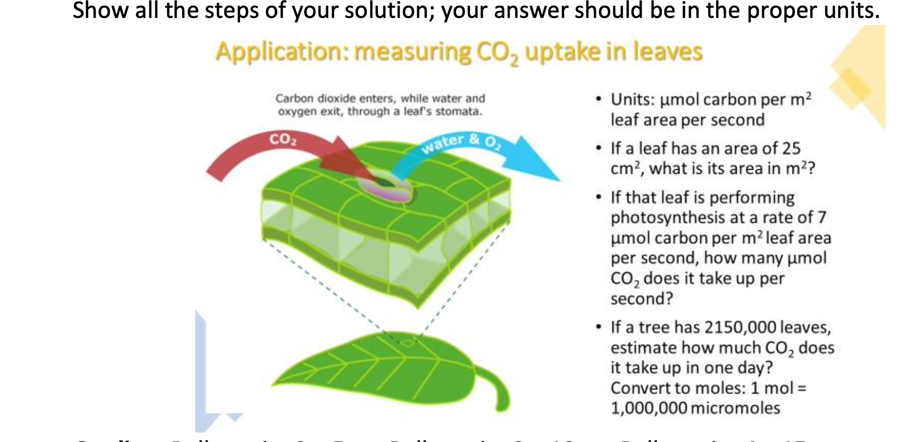 Solved Show all the steps of your solution; your answer | Chegg.com