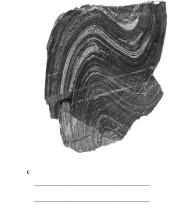 Solved Part I: Classifying folds in hand sample 1. Figure | Chegg.com