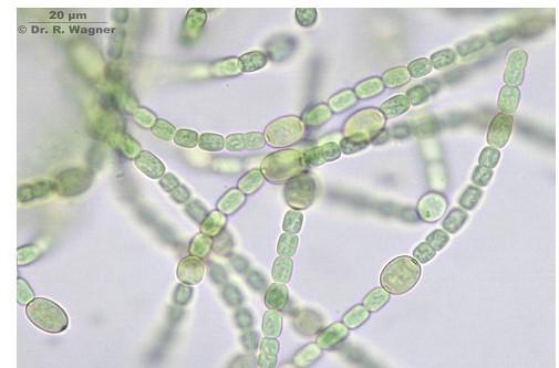 Solved Question | Chegg.com