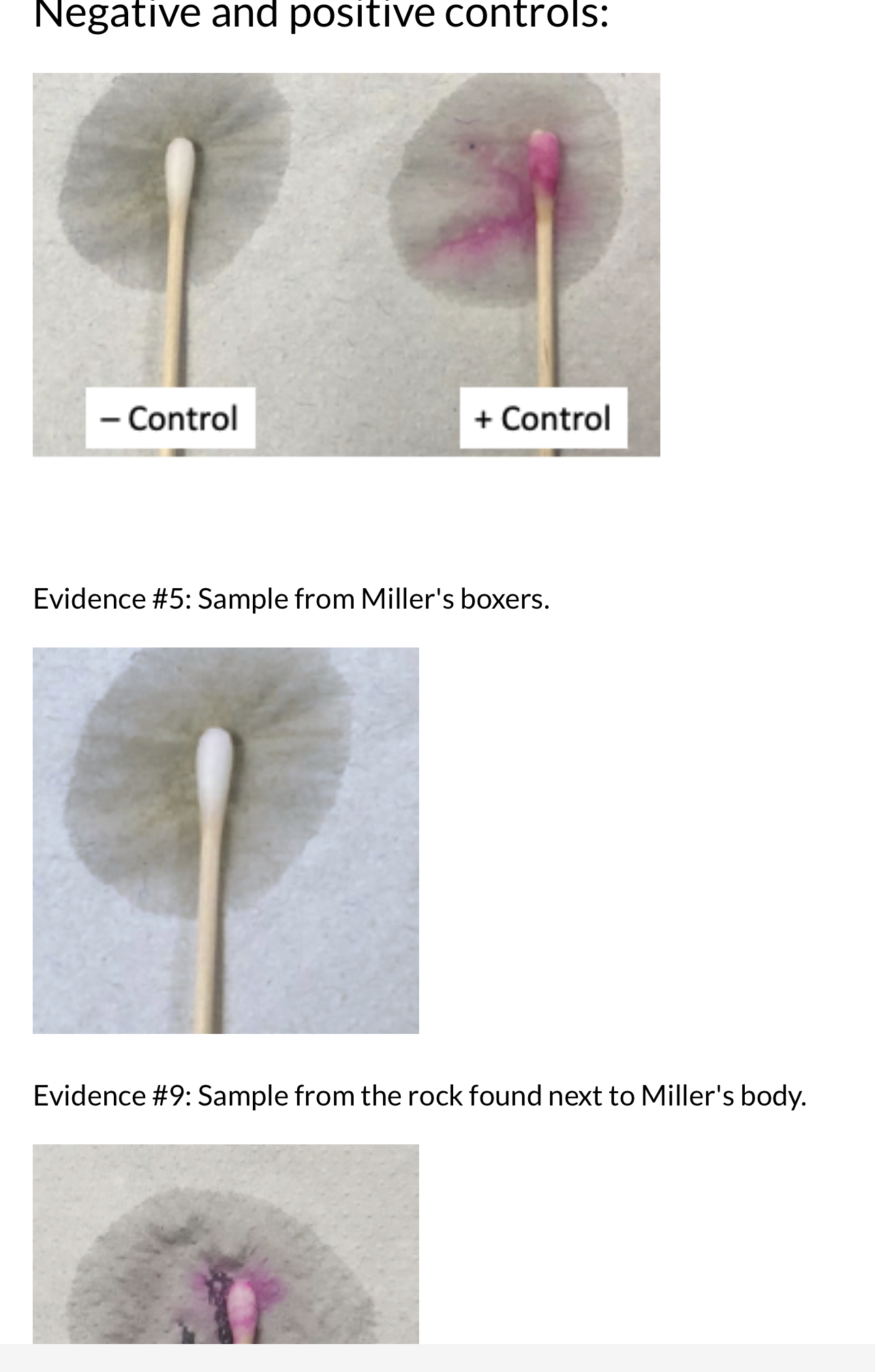 Solved Evidence \#9: Sample from the rock found next to | Chegg.com