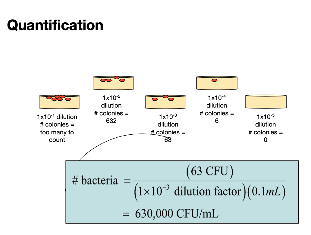 Solved Calculate the HPC for both lakes using the plate | Chegg.com