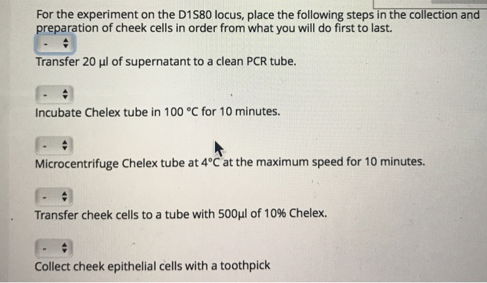 Solved For the experiment on the D1S80 locus, place the | Chegg.com