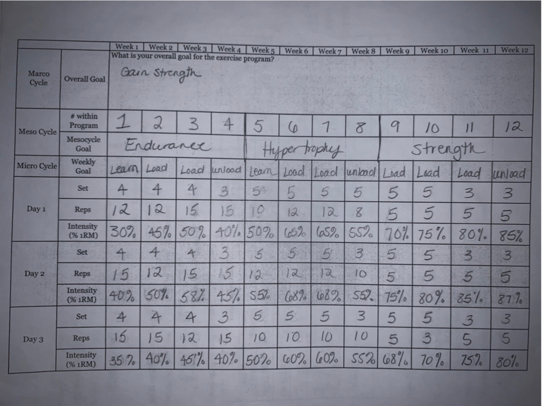 12 Week Exercise Program | atelier-yuwa.ciao.jp