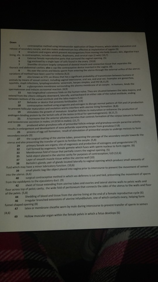 Solved: Female Reproductive System Chapter 22b Female Repr... | Chegg.com