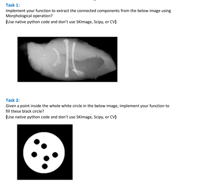 Solved Task 1: Implement your function to extract the | Chegg.com