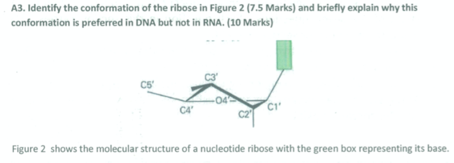 Solved A3. Identify the conformation of the ribose in Figure | Chegg.com