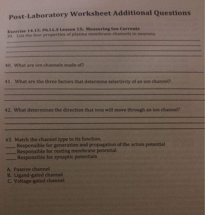 Solved Post-Laboratory Worksheet Additional Questions | Chegg.com