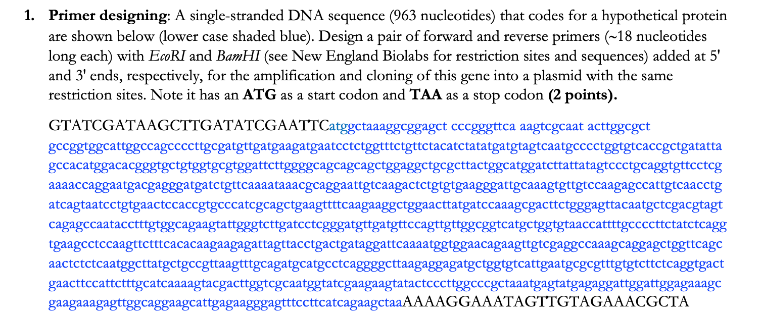 B. Calculate: a. The GC content (or %): b. The | Chegg.com