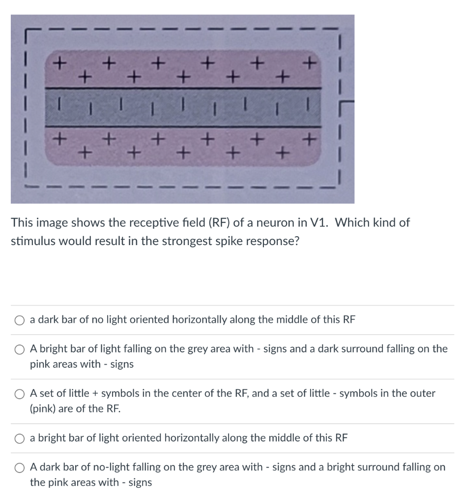 This image shows the receptive field (RF) of a neuron | Chegg.com
