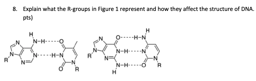 Solved 8. Explain what the R-groups in Figure 1 represent | Chegg.com