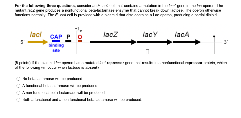 Solved If the plasmid Lac operon has a mutated lacO operator | Chegg.com