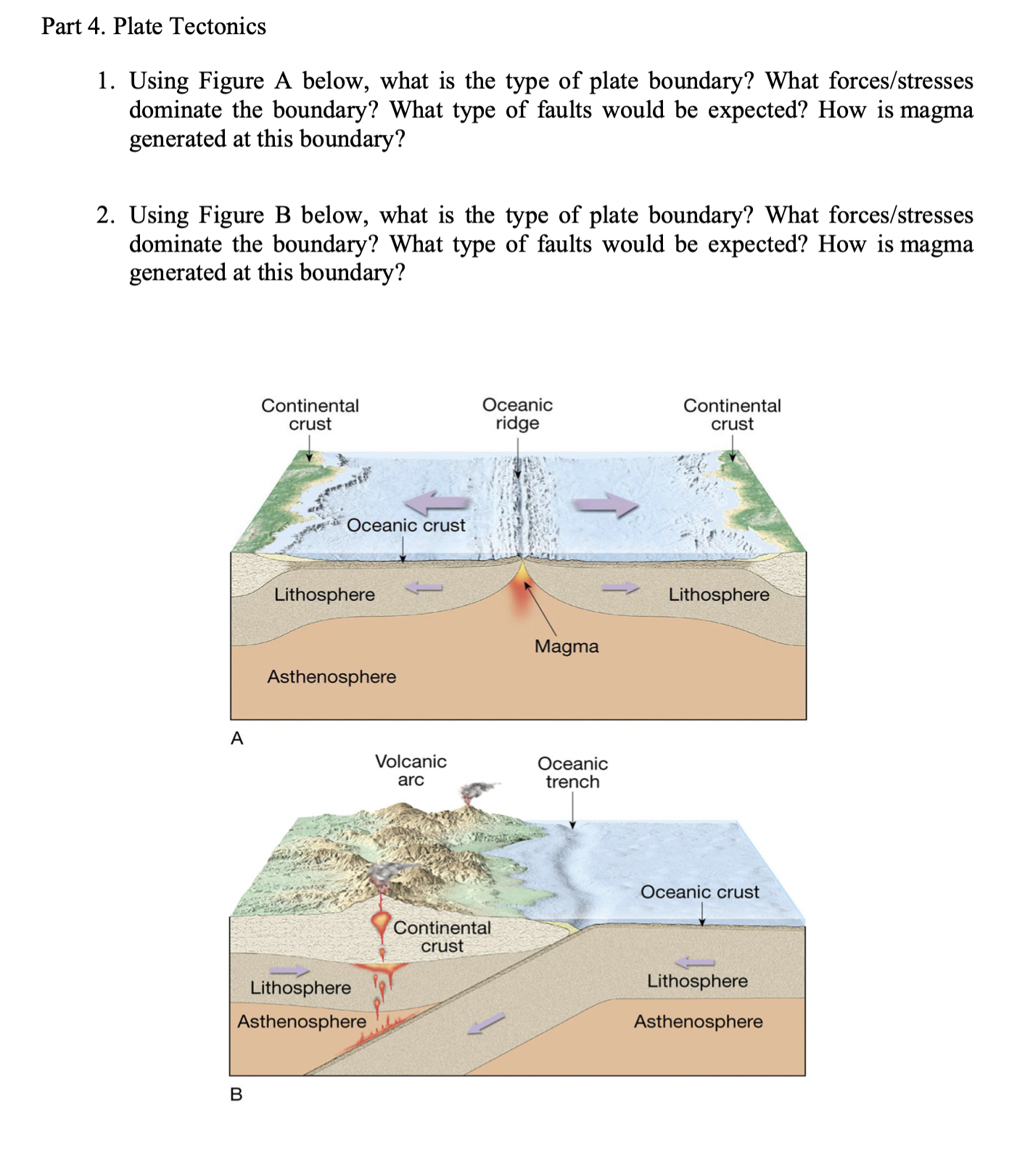 Solved 1. Using Figure A below, what is the type of plate | Chegg.com