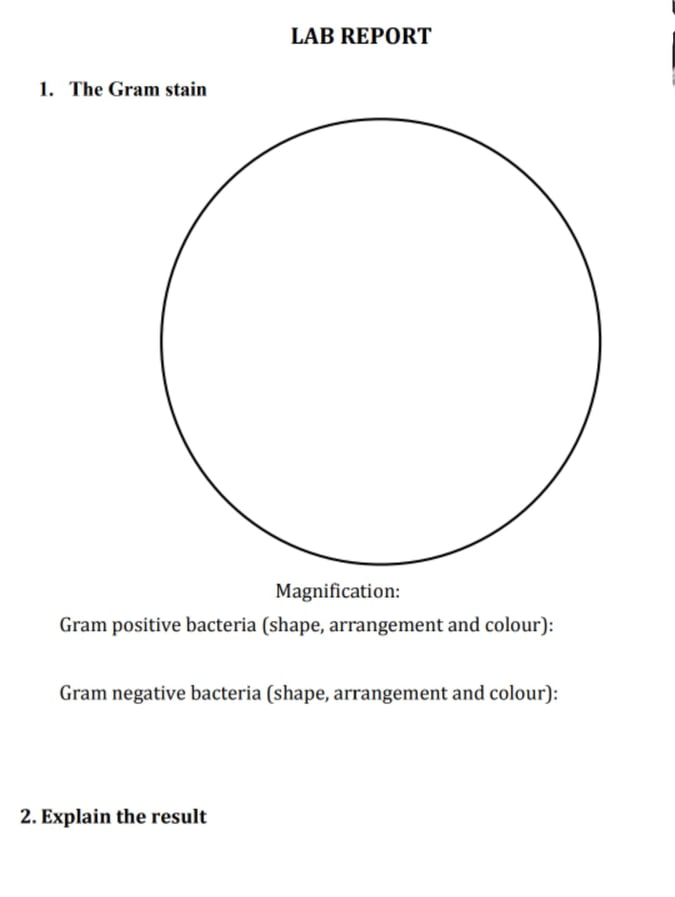 Solved LAB REPORT 1. The Gram stain Magnification: Gram | Chegg.com