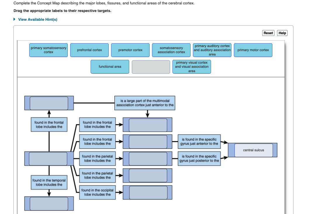 [Solved]: Complete the Concept Map describing the major lo