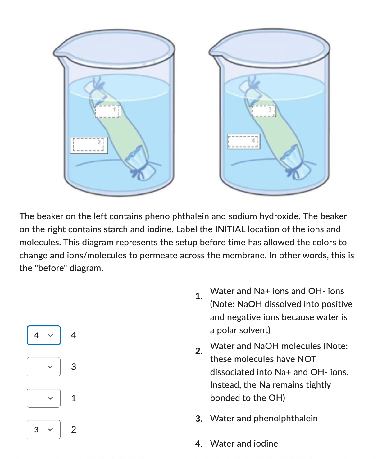 Solved The beaker on the left contains phenolphthalein and | Chegg.com