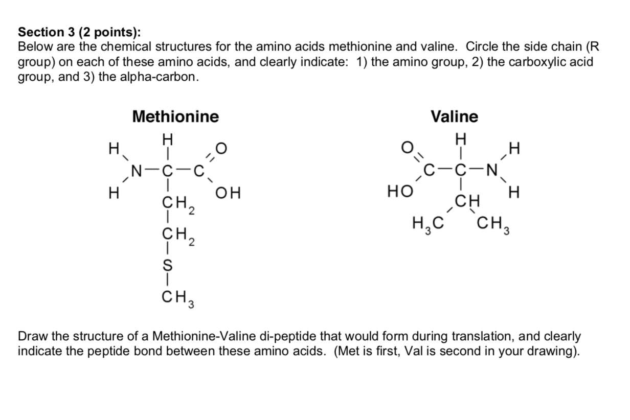 Solved Section 3 (2 points): Below are the chemical | Chegg.com