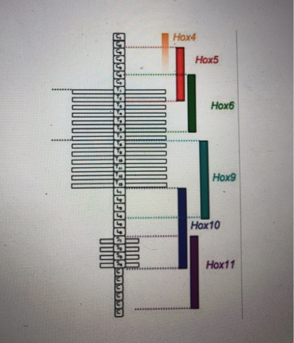 Solved 4. Below is a figure from Mollo et al., 2010 | Chegg.com