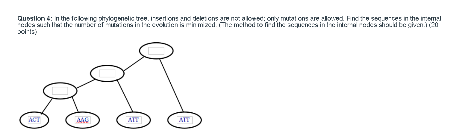 Solved Question 4: In the following phylogenetic tree, | Chegg.com