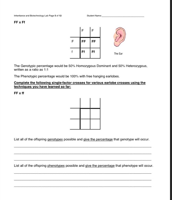 Solved Inheritance And Biotechnology Lab Page 1 Of 12 9883
