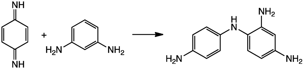 Solved NH ŅH2 + H2N NH2 H2N NH2 NH | Chegg.com